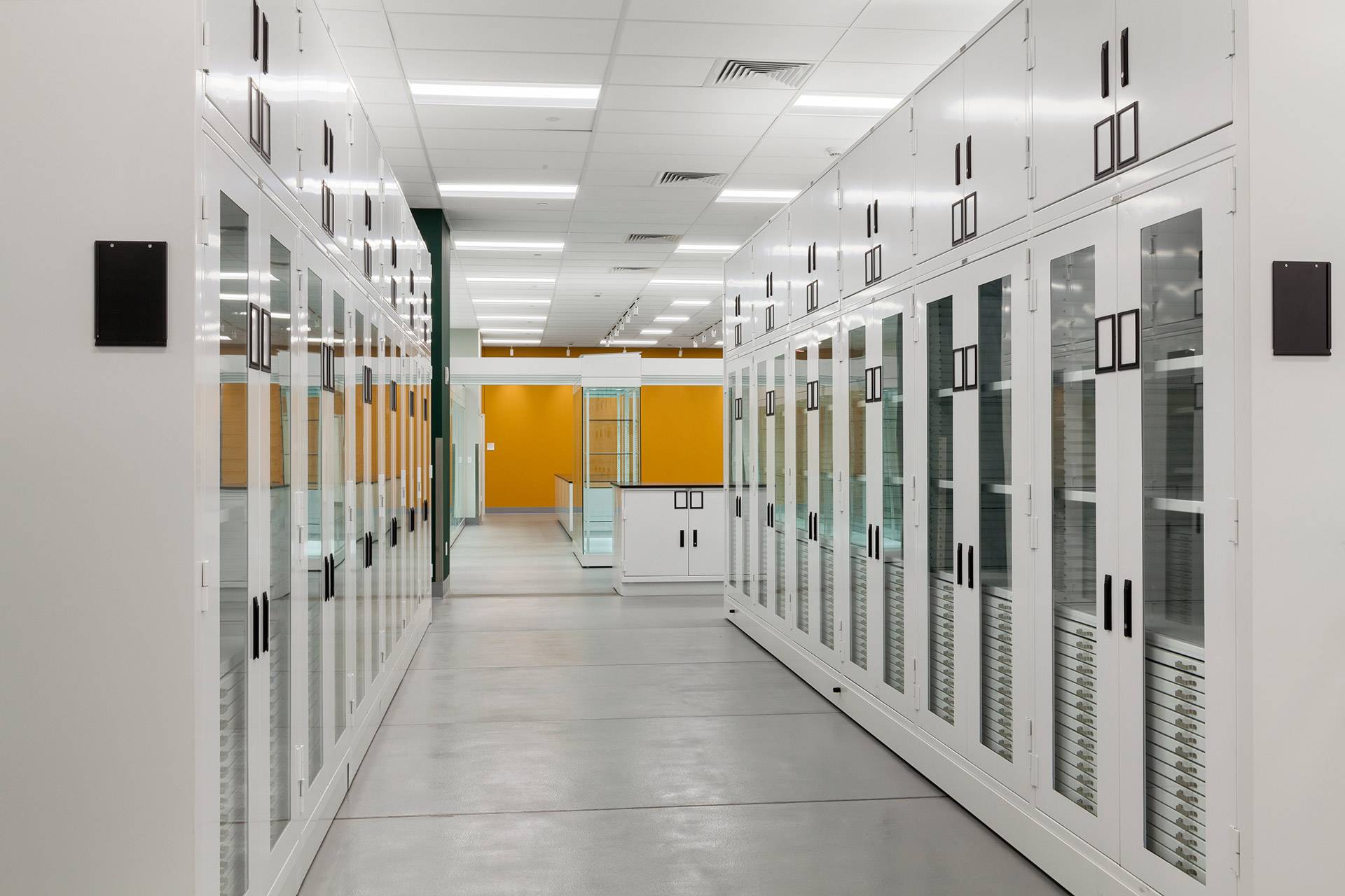 Storage Solutions - Mobile & Lockers (High Density Products)